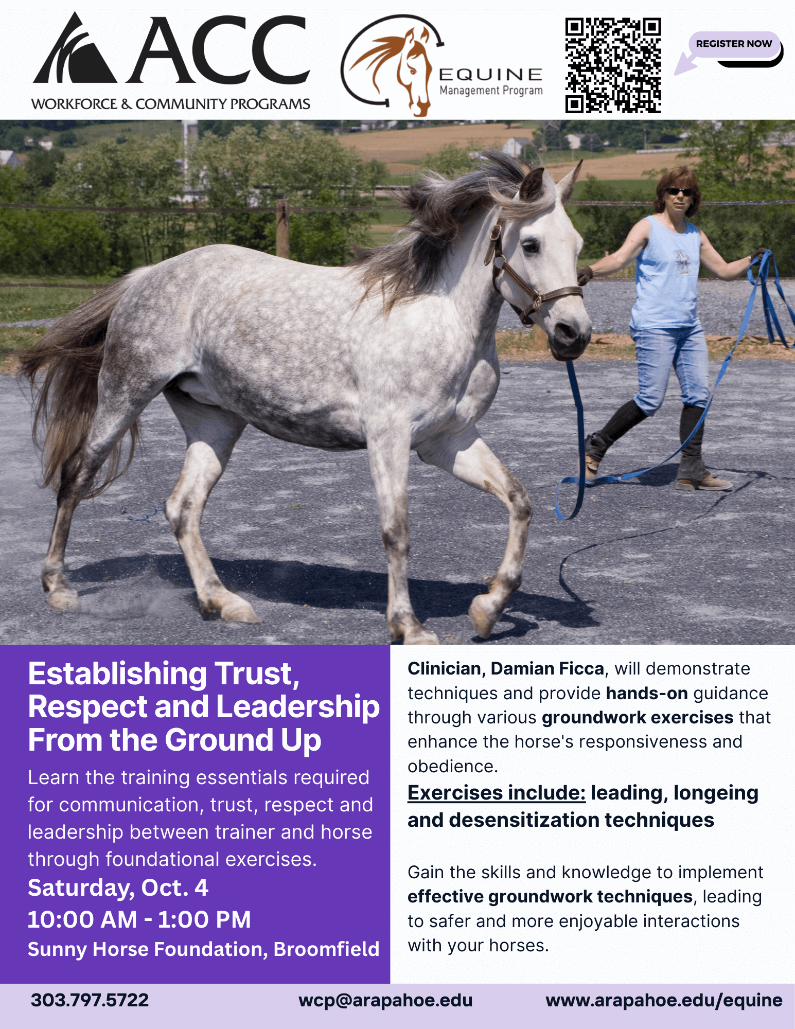 Establishing Trust, Respect and Leadership from the Ground Up – Horse ...
